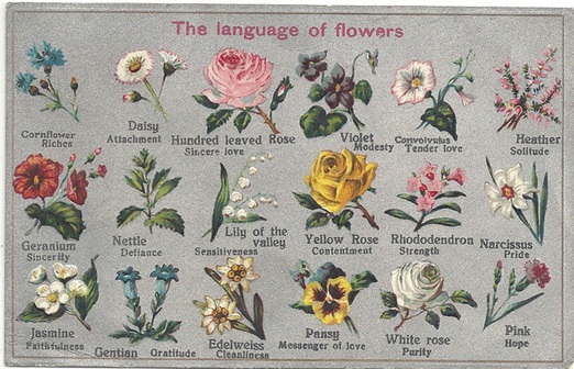 The Language Of Flowers | Two Chums