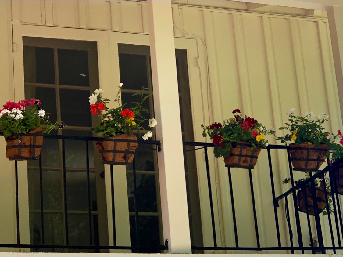 Flower Power | Two Chums